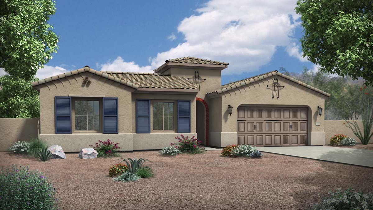 Cholla Plan – REWOW