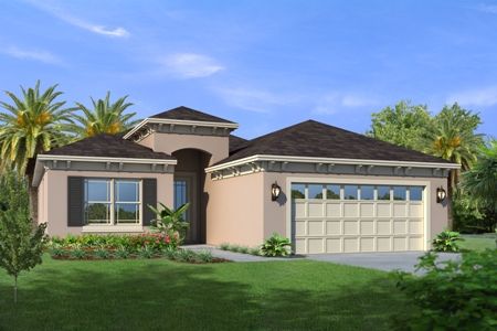 St. Thomas Plan – REWOW