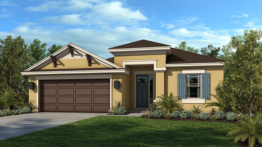 Saint Thomas Plan – REWOW